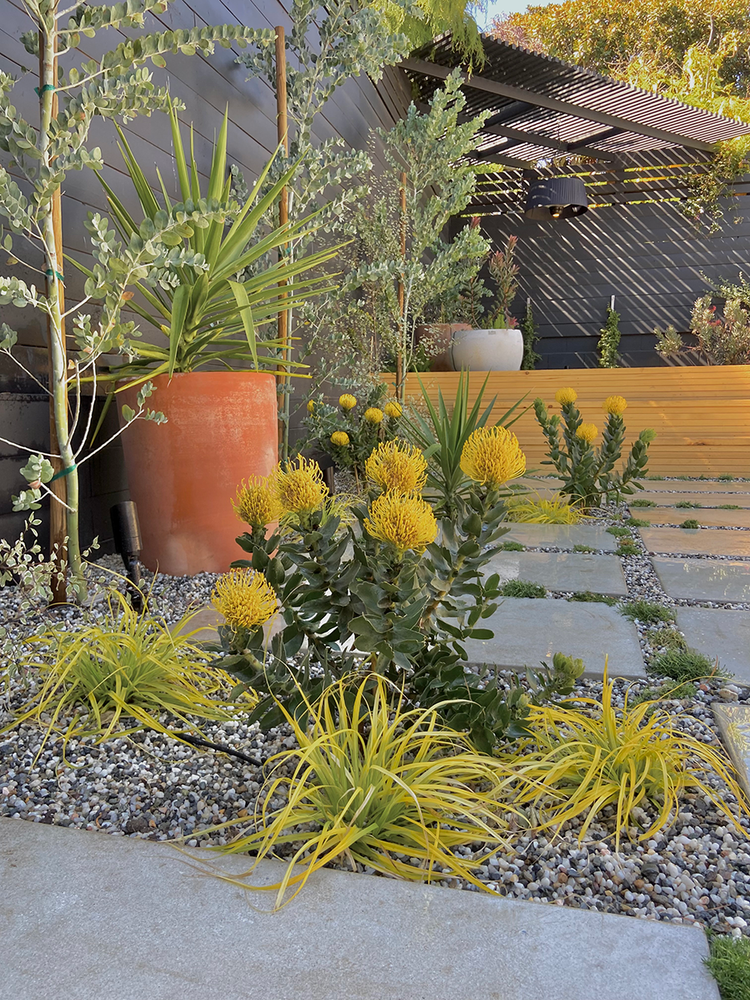 Inspiration From Friday Gardens — Flora Grubb Gardens Plant Nursery