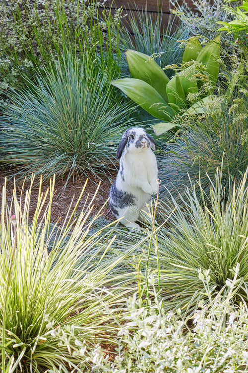 Inspiration From Friday Gardens — Flora Grubb Gardens Plant Nursery