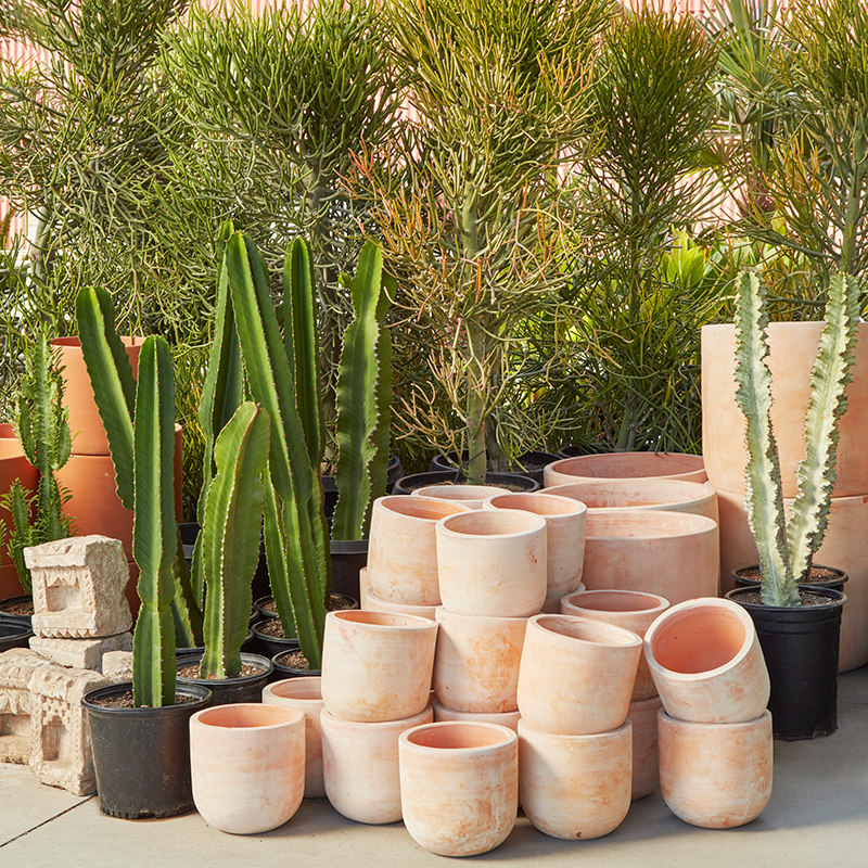 Home Bu 1 — Flora Grubb Gardens