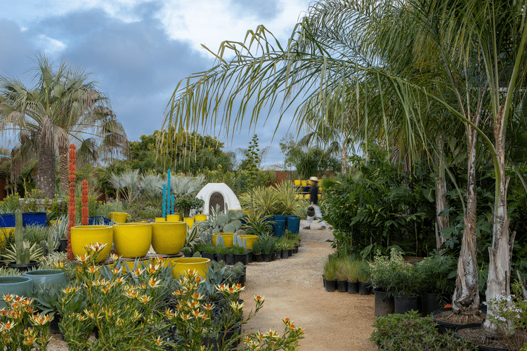 Flora Grubb Gardens Plant Nursery