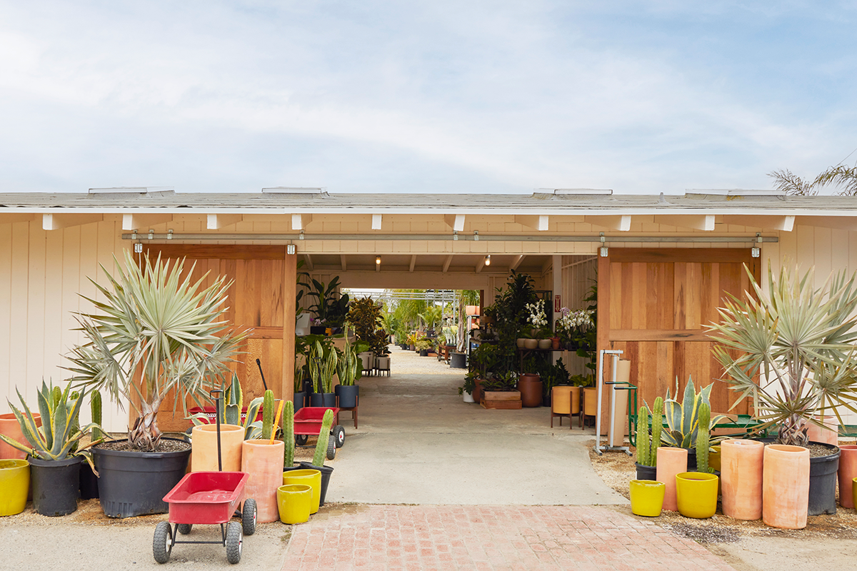 Newsroom — Flora Grubb Gardens