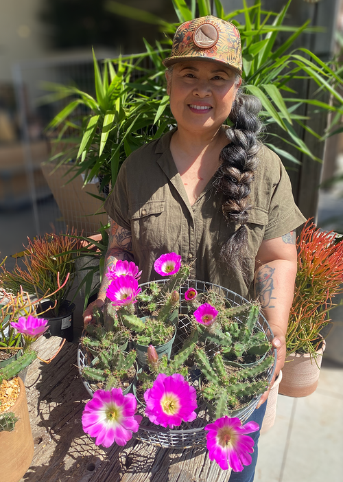 20th Anniversary Happy Hour At Flora Grubb Sf — Cactus Qanda And Lambert