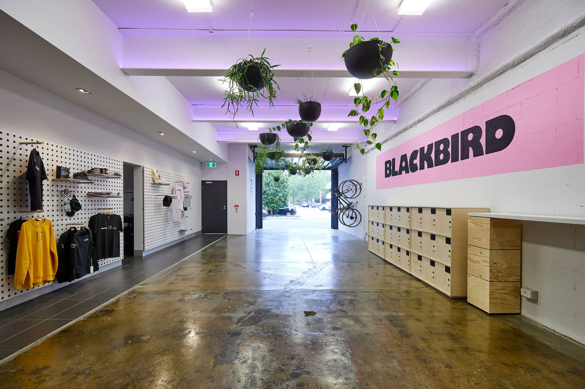 Blackbird — in-line projects