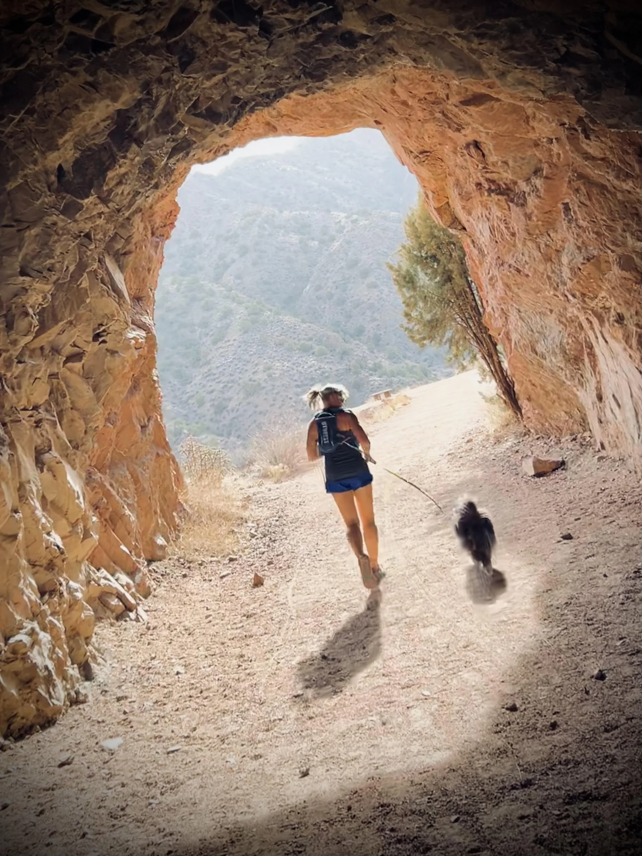 Elizabeth Gamache Art