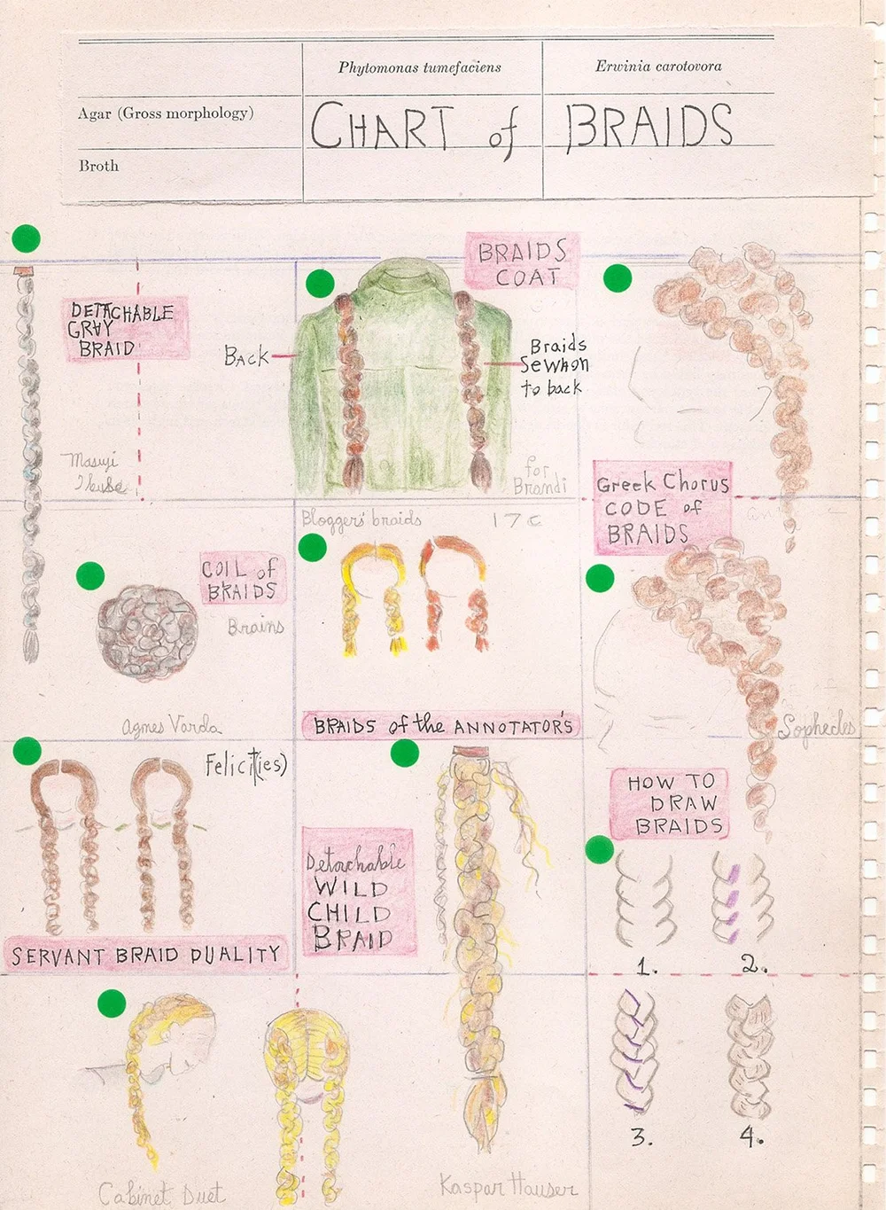 Drawings / Charts — Annie-B Parson