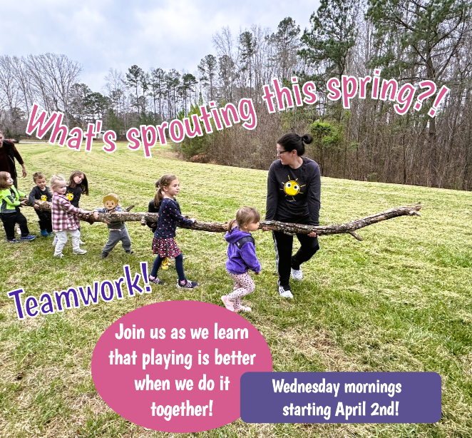 Tiny Seeds — Tiny Seeds Nature Play