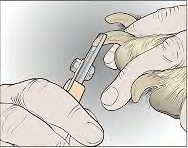 Trimming Whippet Toenails — National Whippet Club of Canada