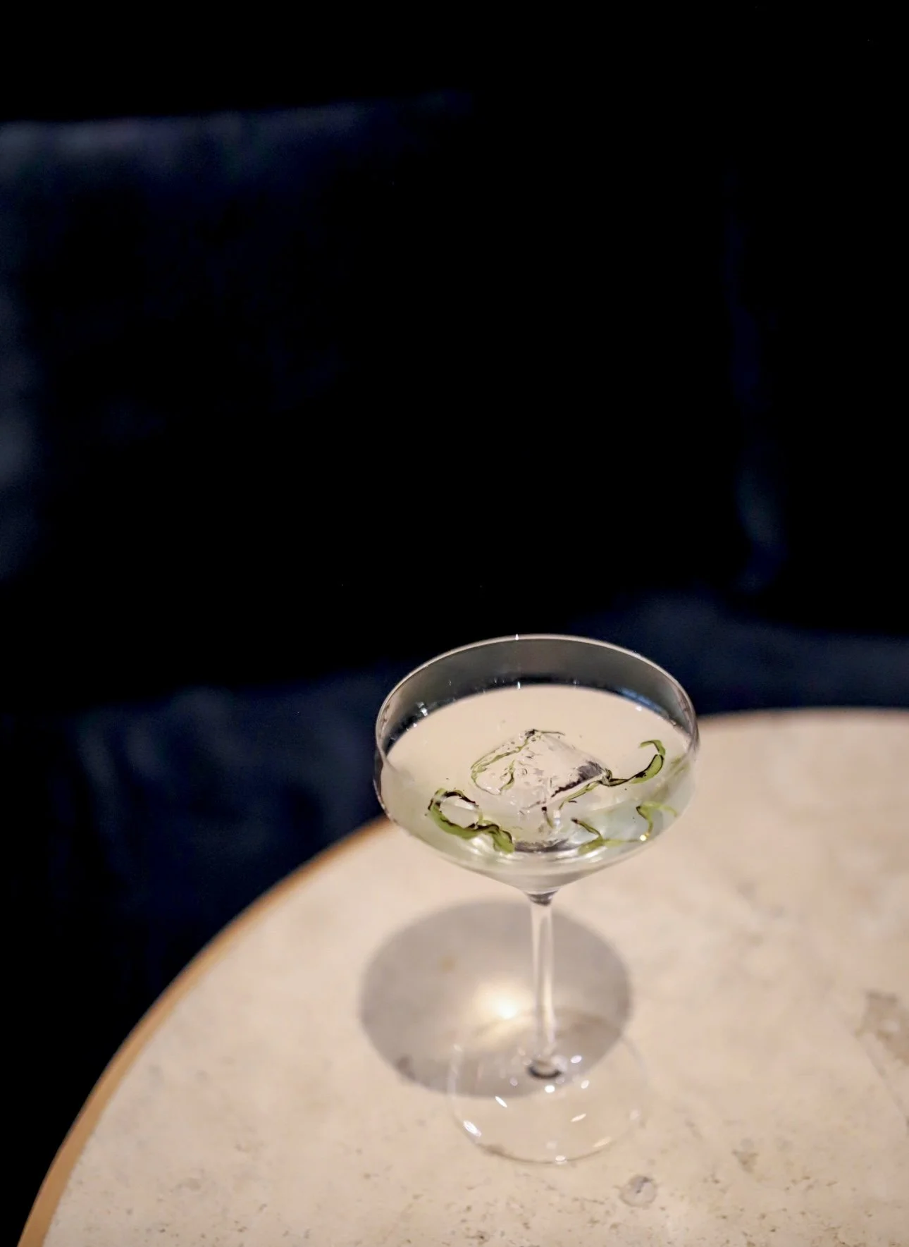 COCKTAIL GALLERY — SELVA