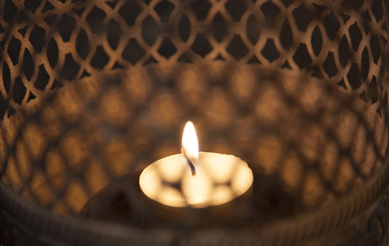 Fallen Angel Brighton