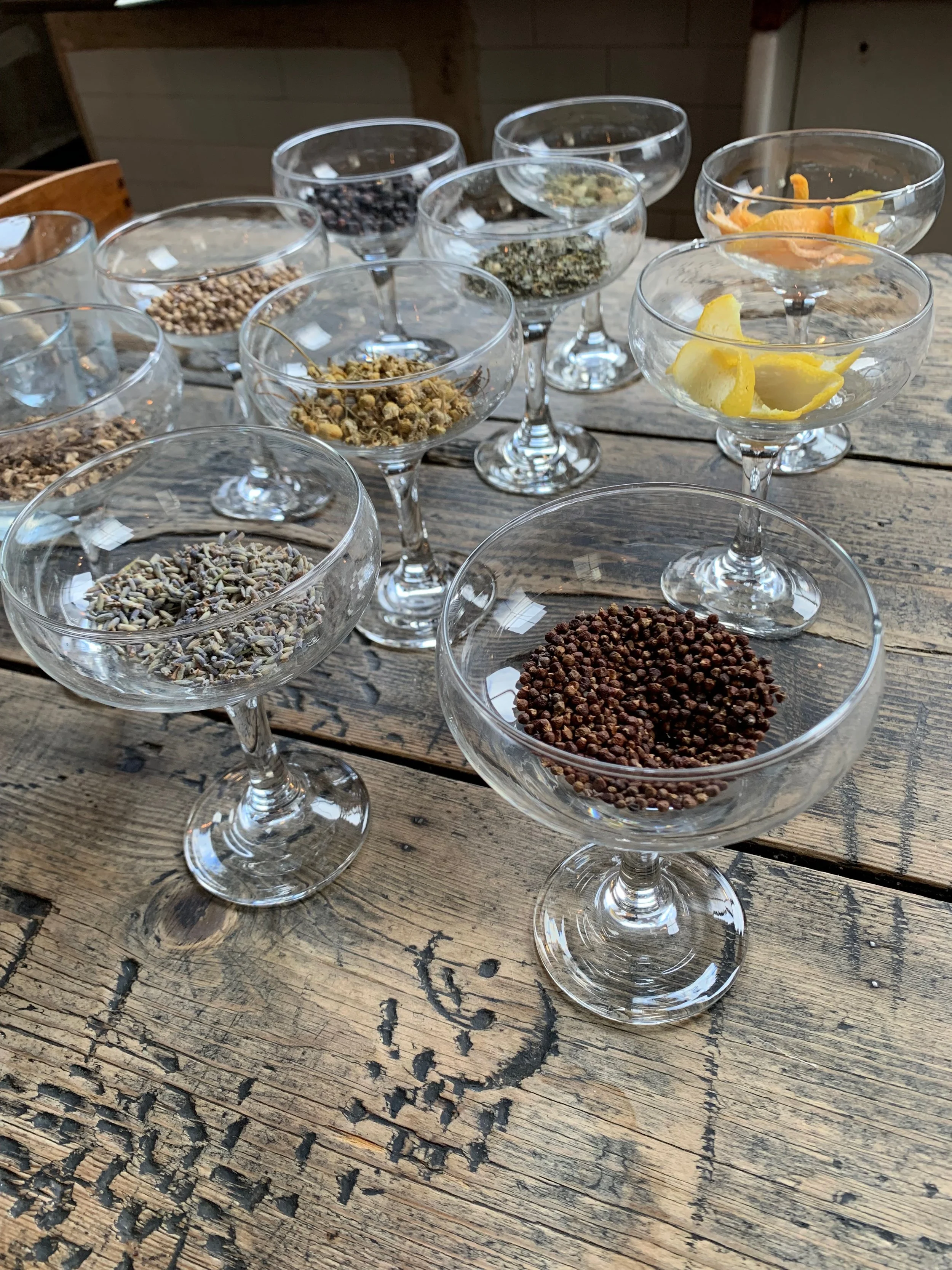 Fallen Angel Brighton