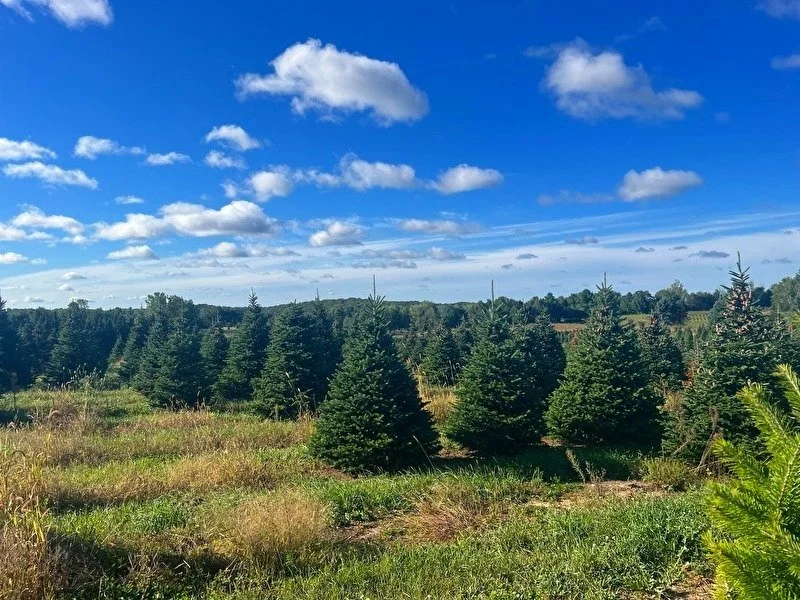 Hours & Directions — St. Croix Valley Trees - Christmas Trees & Cheer ...