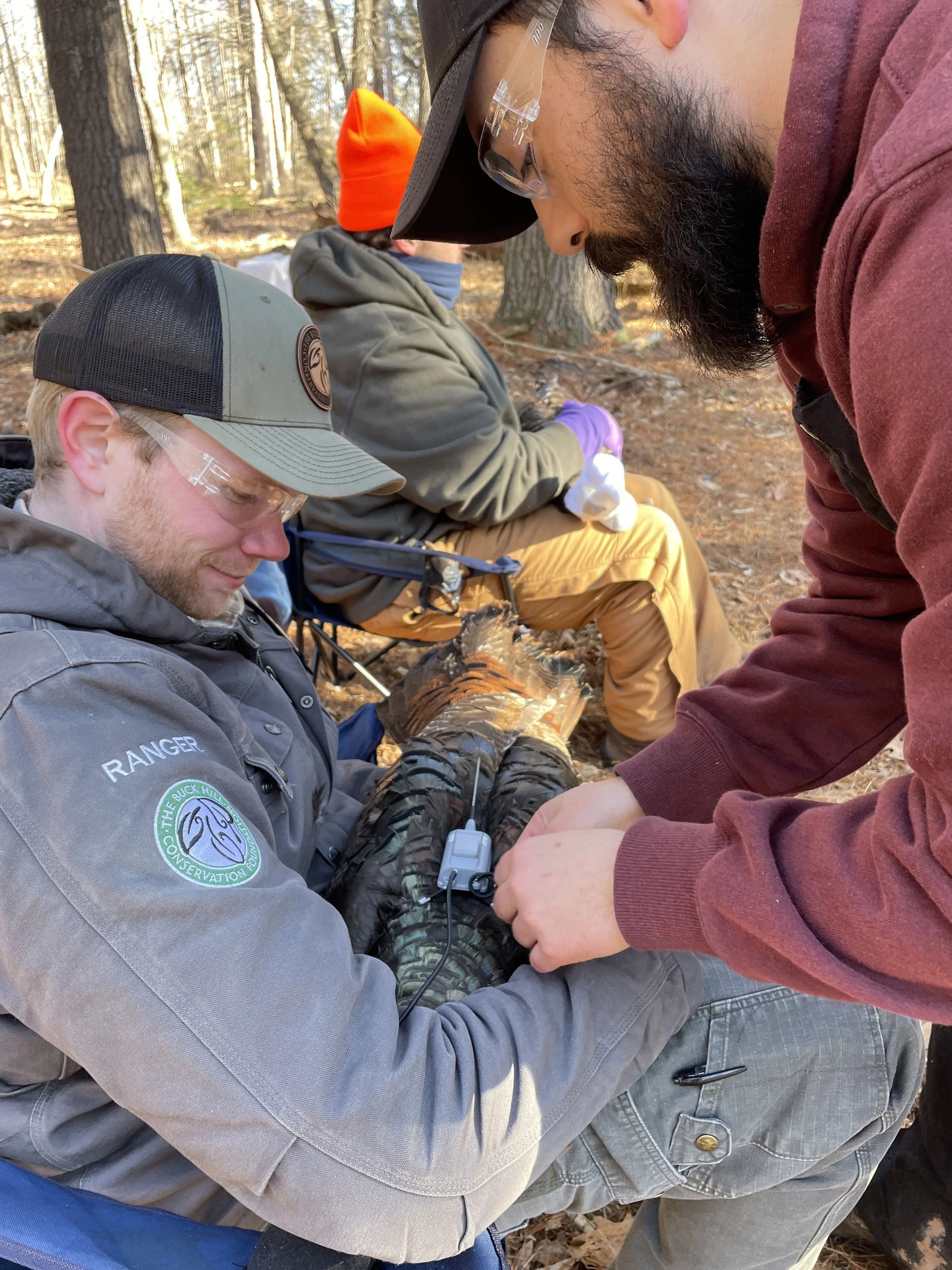 Meet Joe Lear (Ranger Joe) — The Buck Hill Conservation Foundation