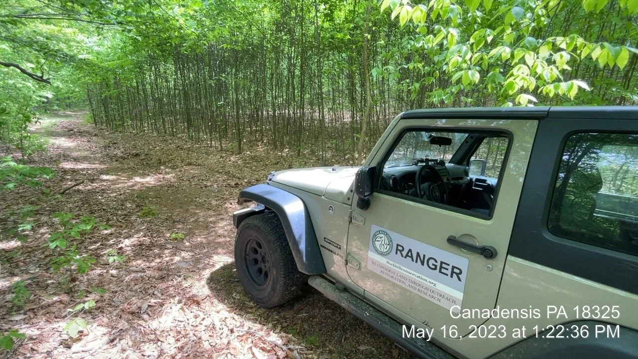 In the Know with Ranger Joe, June 2023 — The Buck Hill Conservation ...