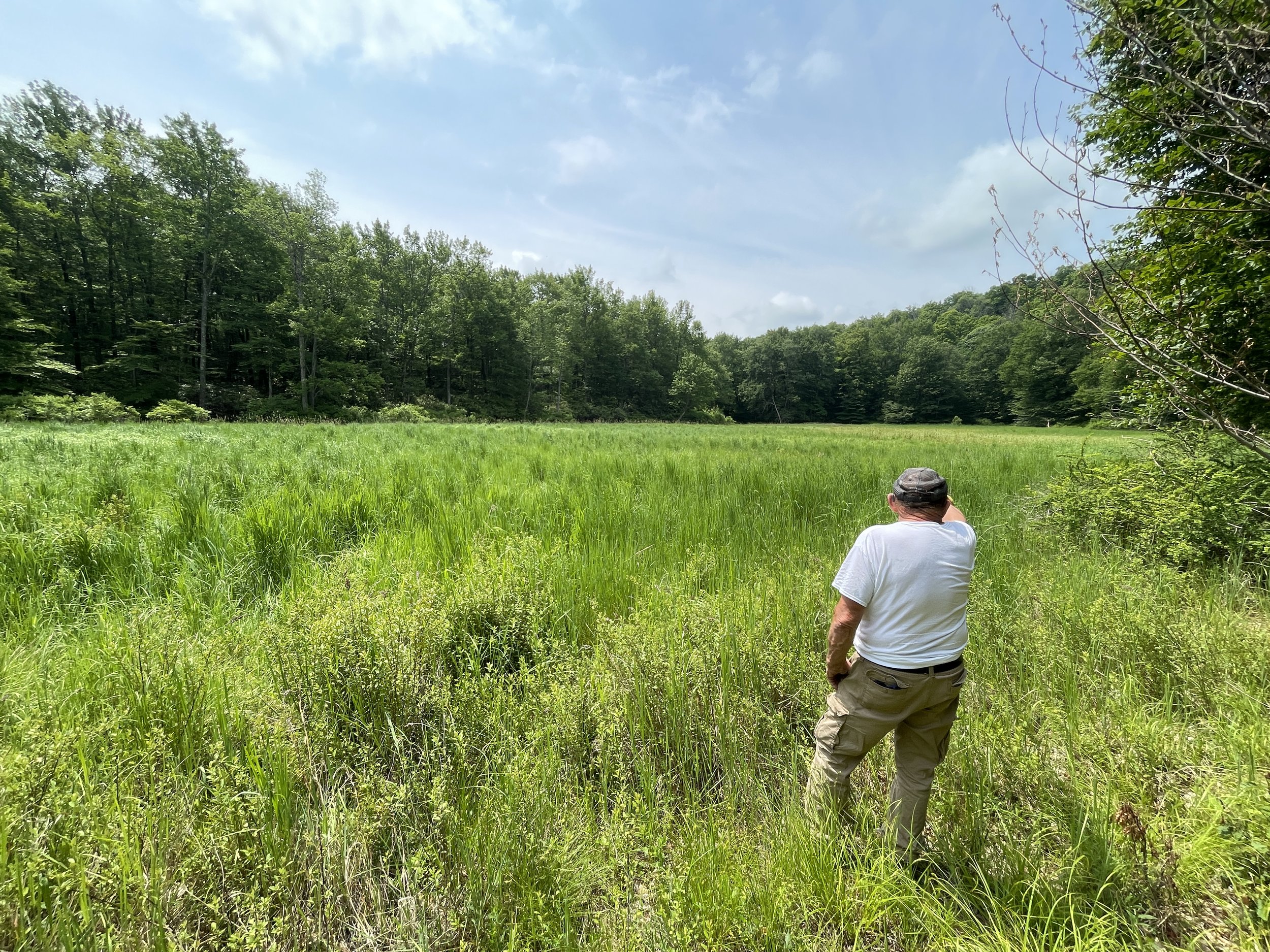 In the Know with Ranger Joe, July 2023 — The Buck Hill Conservation ...