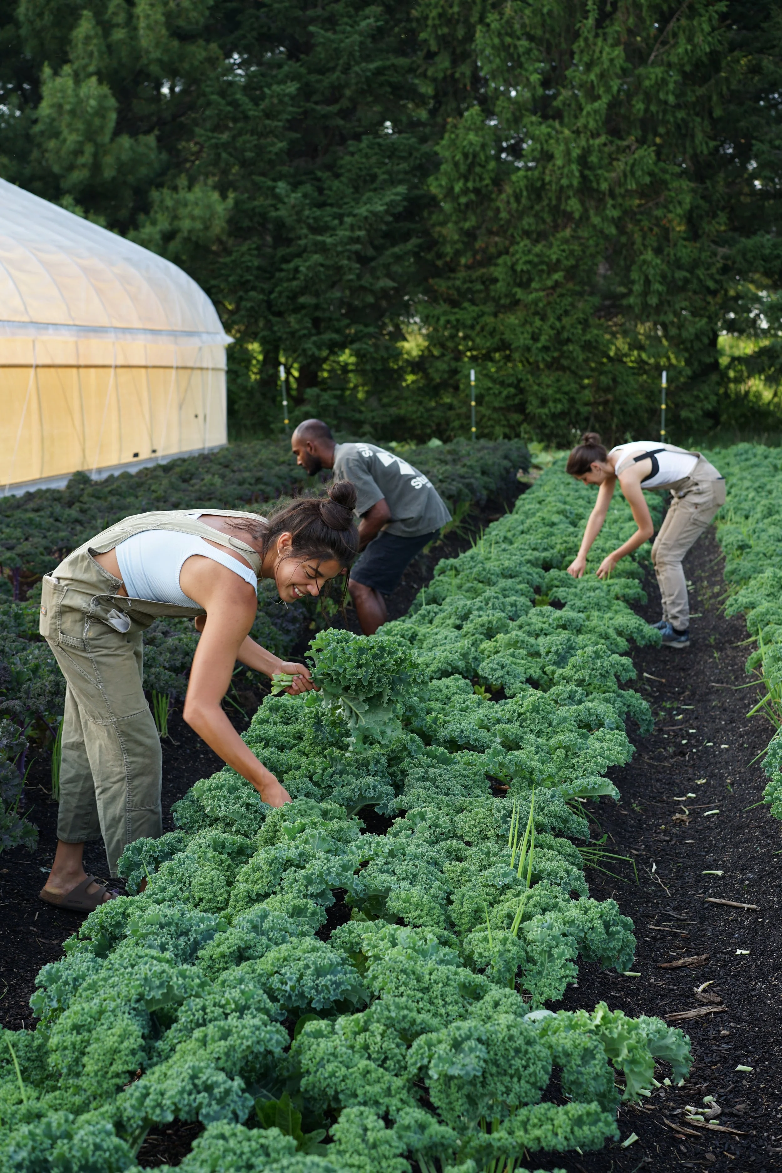 About — Adama Farm