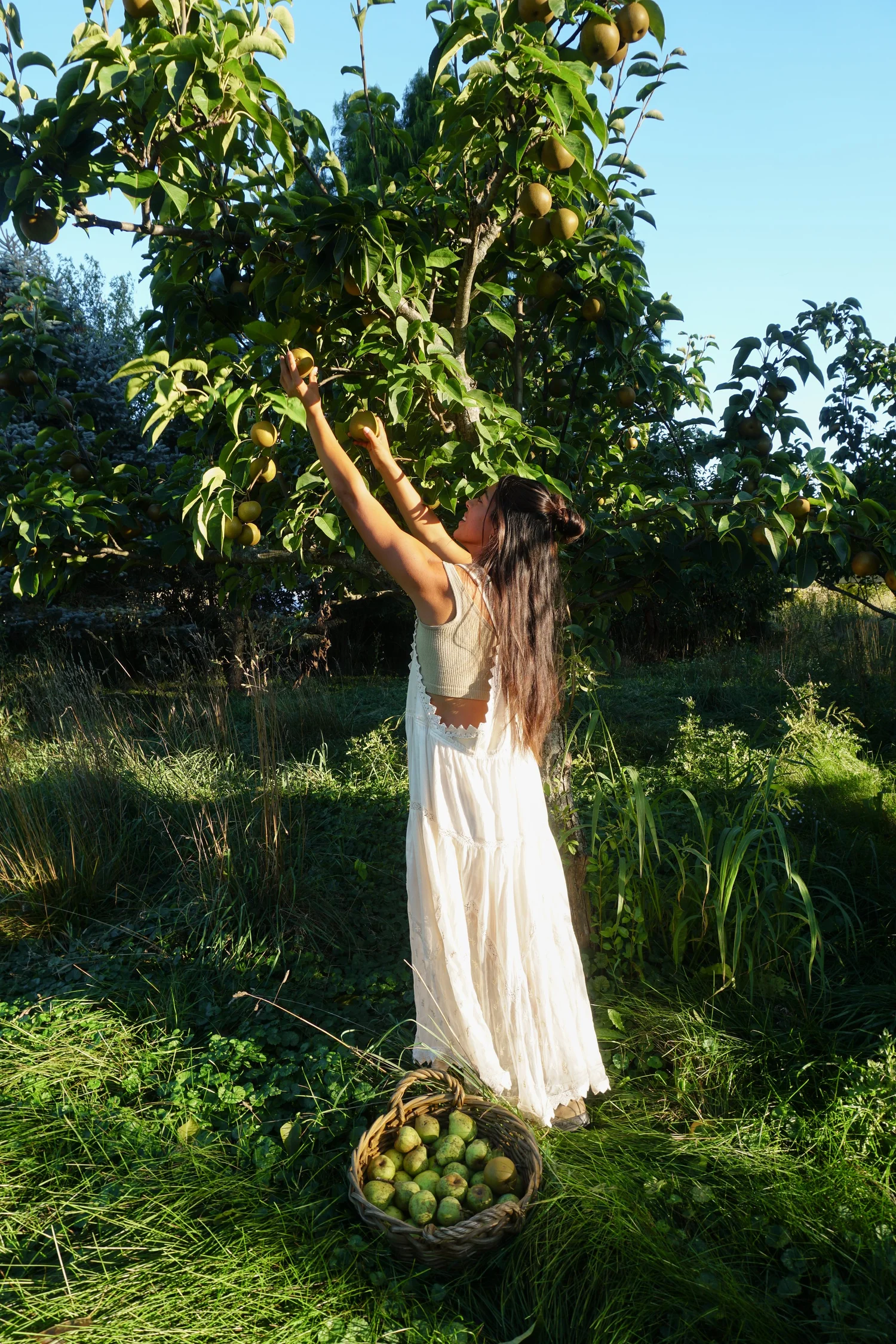 About — Adama Farm