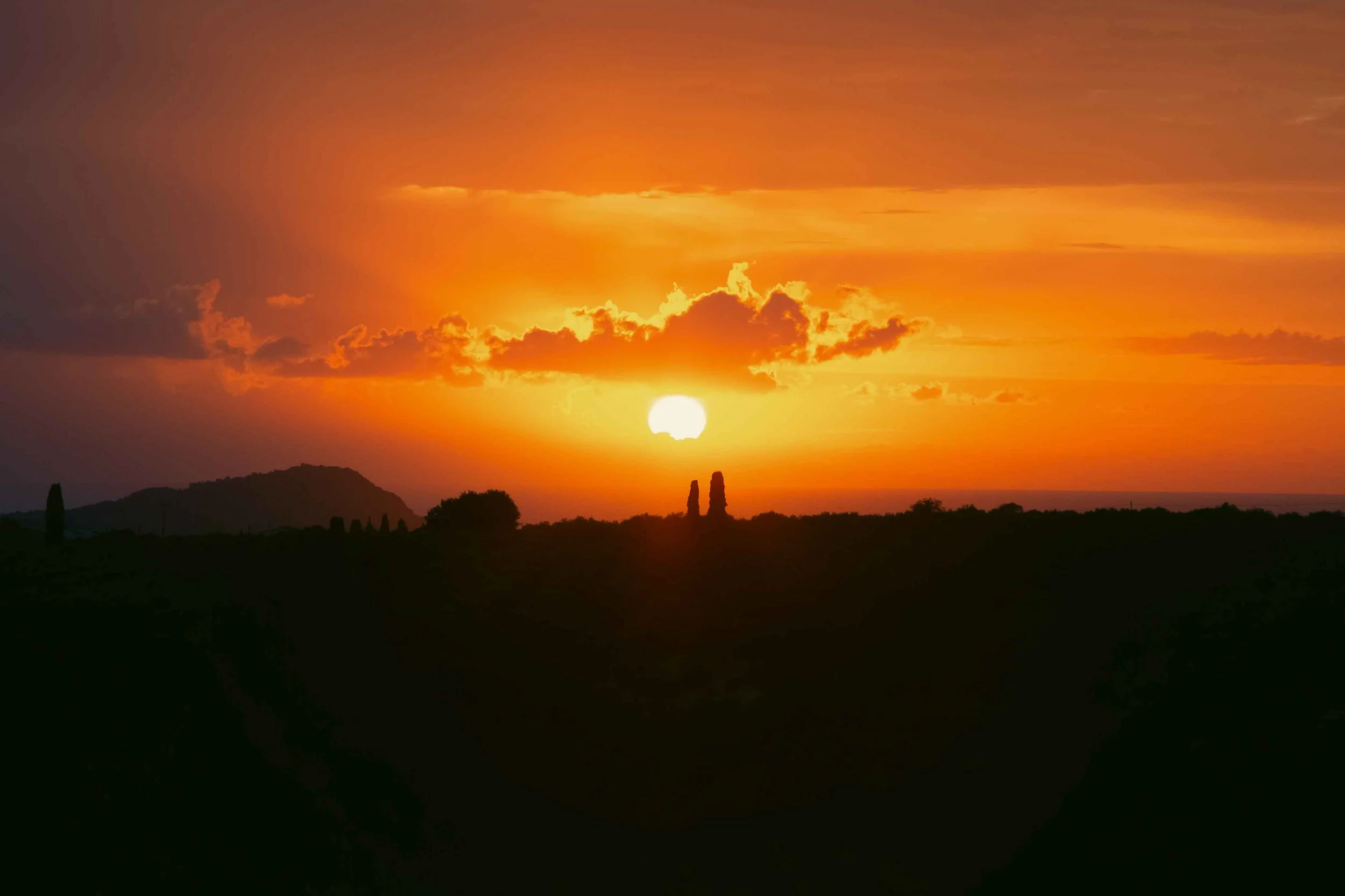 Elevate Your Senses: Tales of Mindful Travel & Organic Living at ...