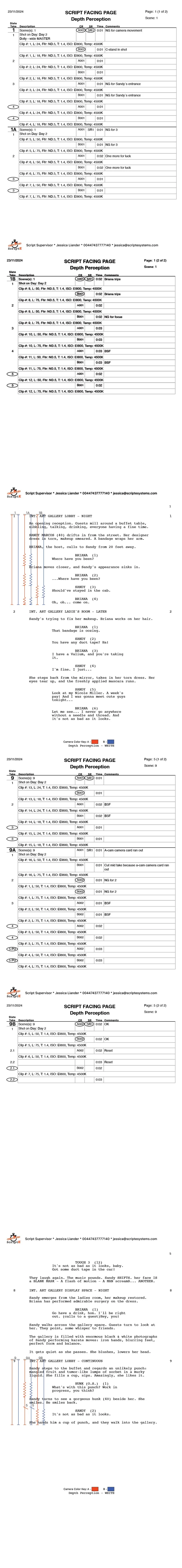 Boost Your Script Supervision with ScriptE — ScriptE Systems
