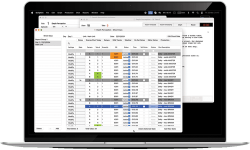 Boost Your Script Supervision with ScriptE — ScriptE Systems