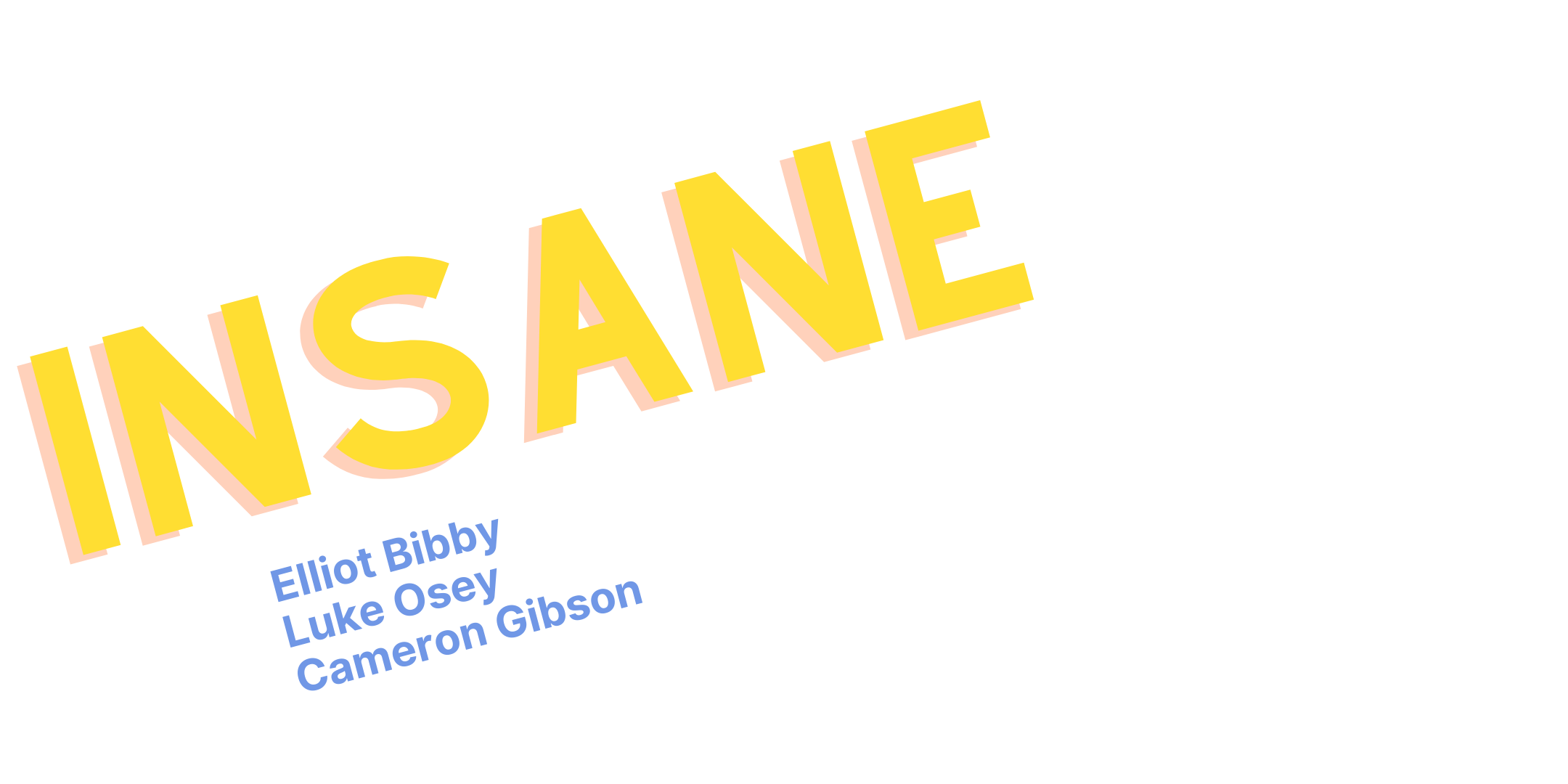 Insane Magic — Trash Panda Productions