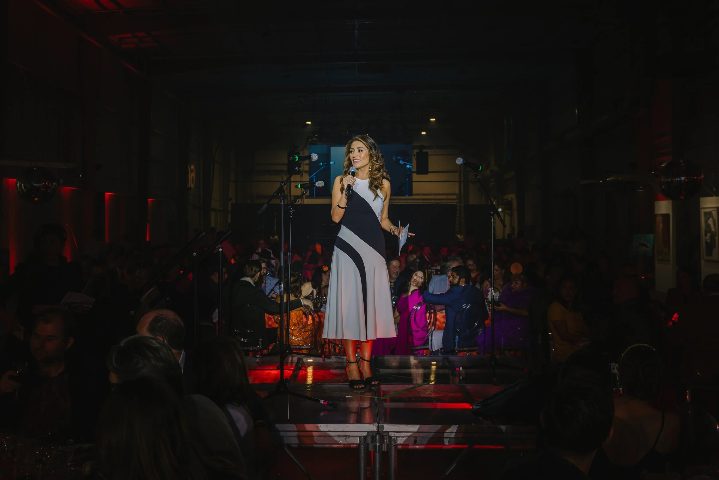 HAA Gala — Houston Arts Alliance