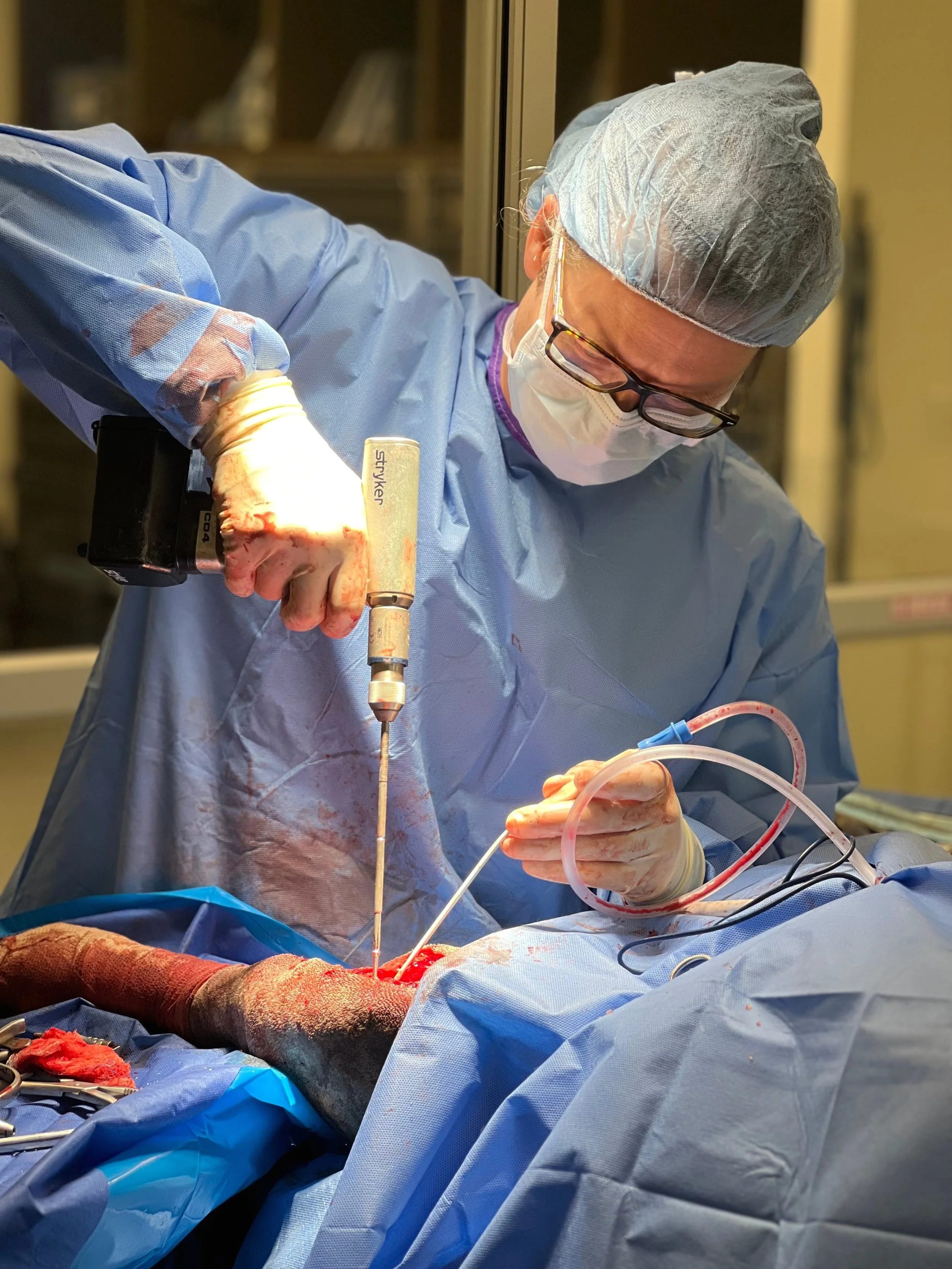 Veterinary Orthopedic, Soft Tissue and Neurologic Surgery. — Northstar ...