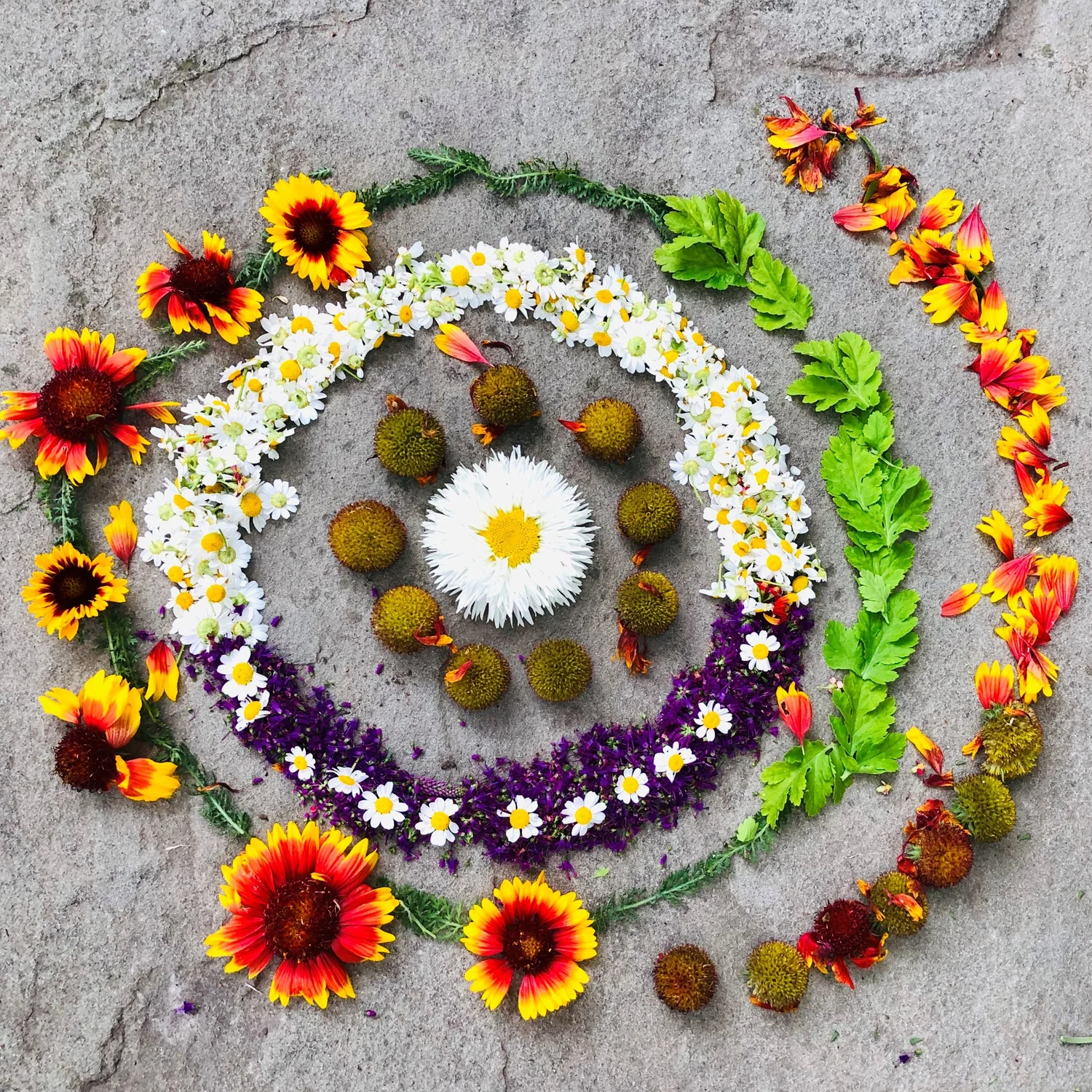 Blog — Jessica Galloway