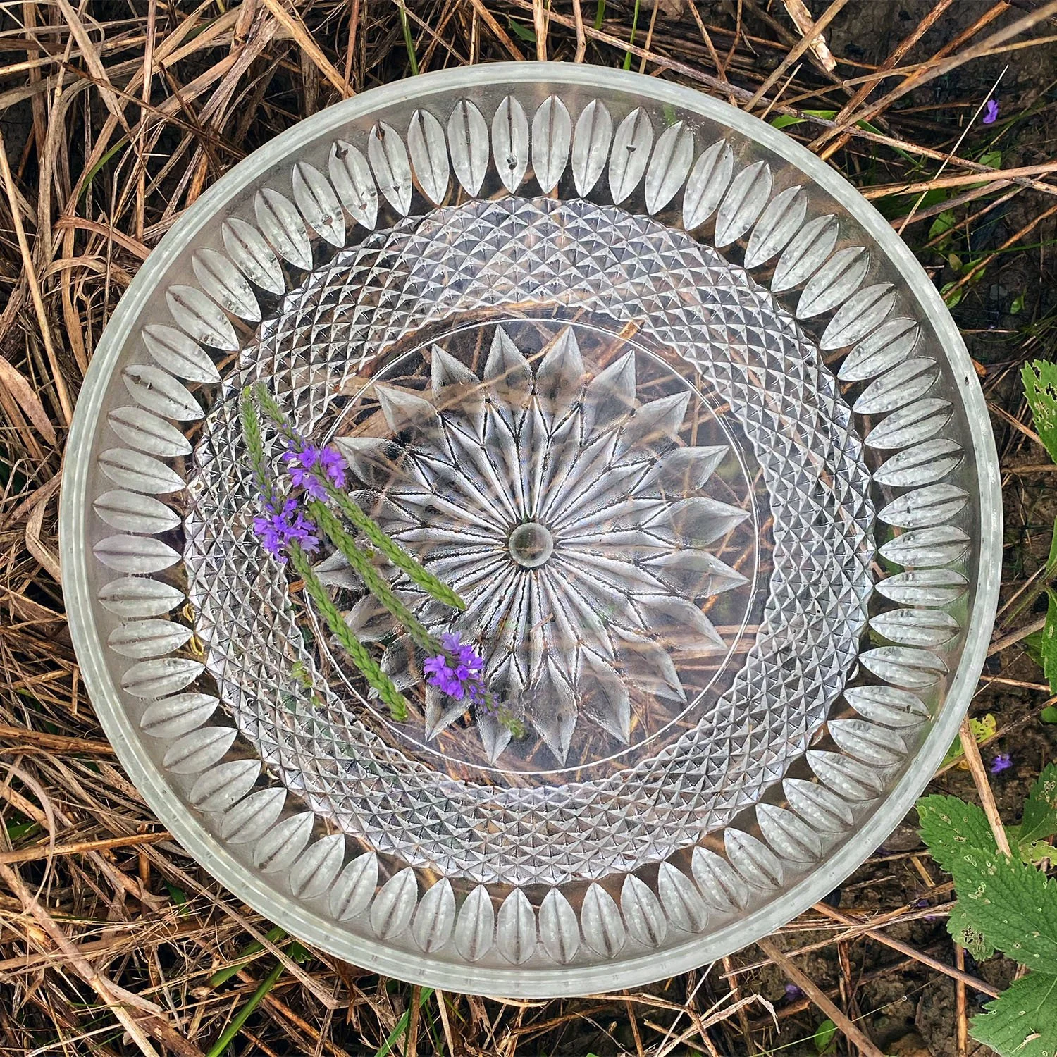 Vervain and Slow Magic — Cassie Uhl