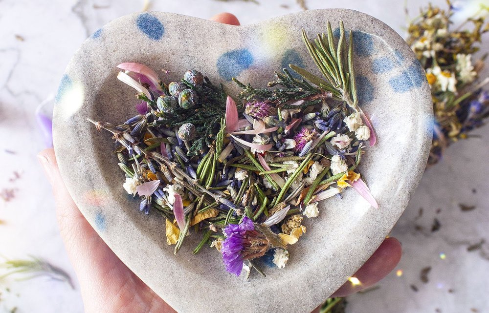 Herbal Magick 101 // How to Get Started with Herbal Magick — Cassie Uhl