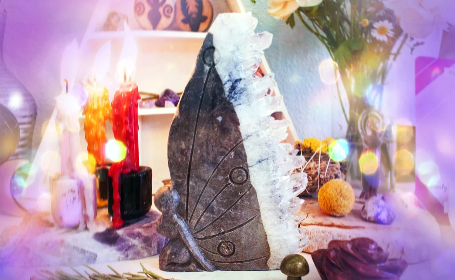Fae, Faeries, and Fair folk! Who are They & 3 Ways to Connect with Them ...