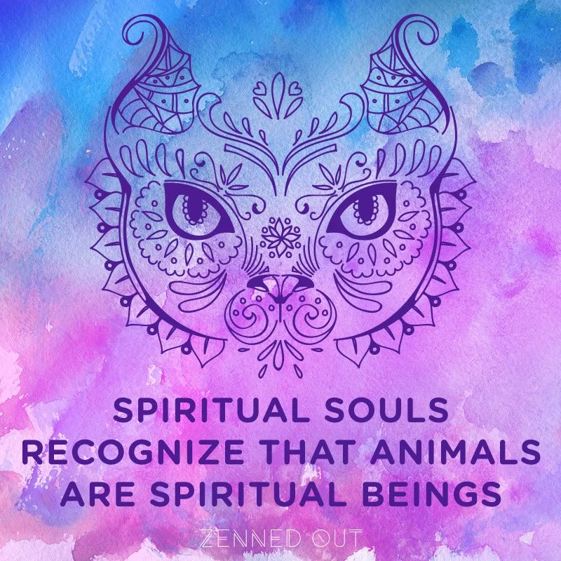 Animal Guides // Are you missing out on an animal connection? — Cassie Uhl
