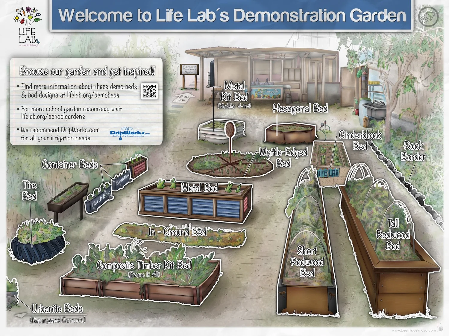 Garden Bed Design Plans — Life Lab