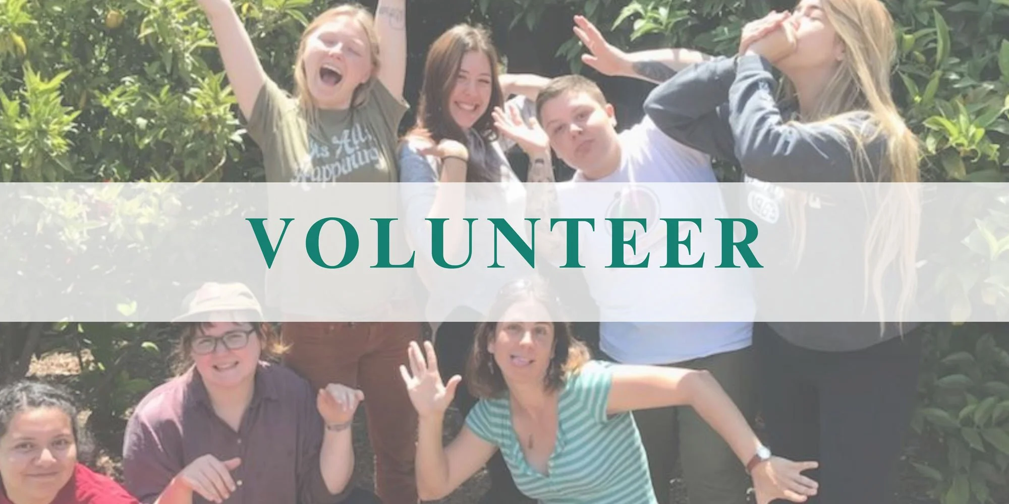 Volunteer — Life Lab