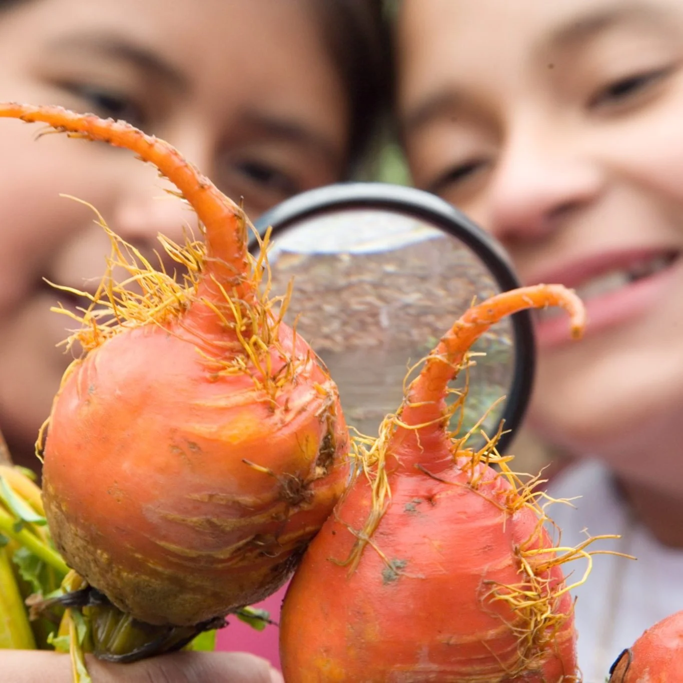 NGSScurriculum — Life Lab