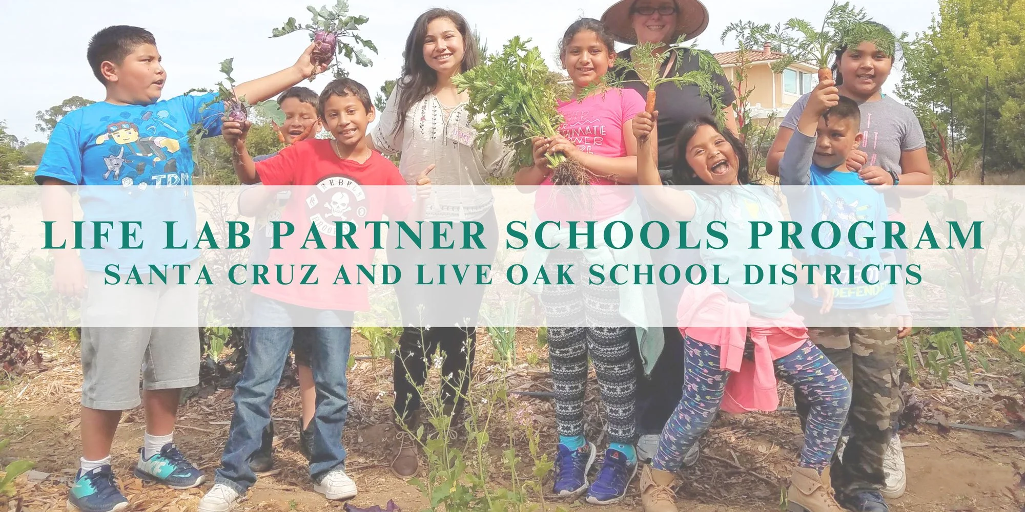 SCCS and LOSD Life Lab Partner Schools — Life Lab