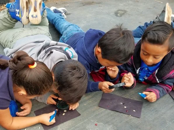 Virtual Workshops — Life Lab