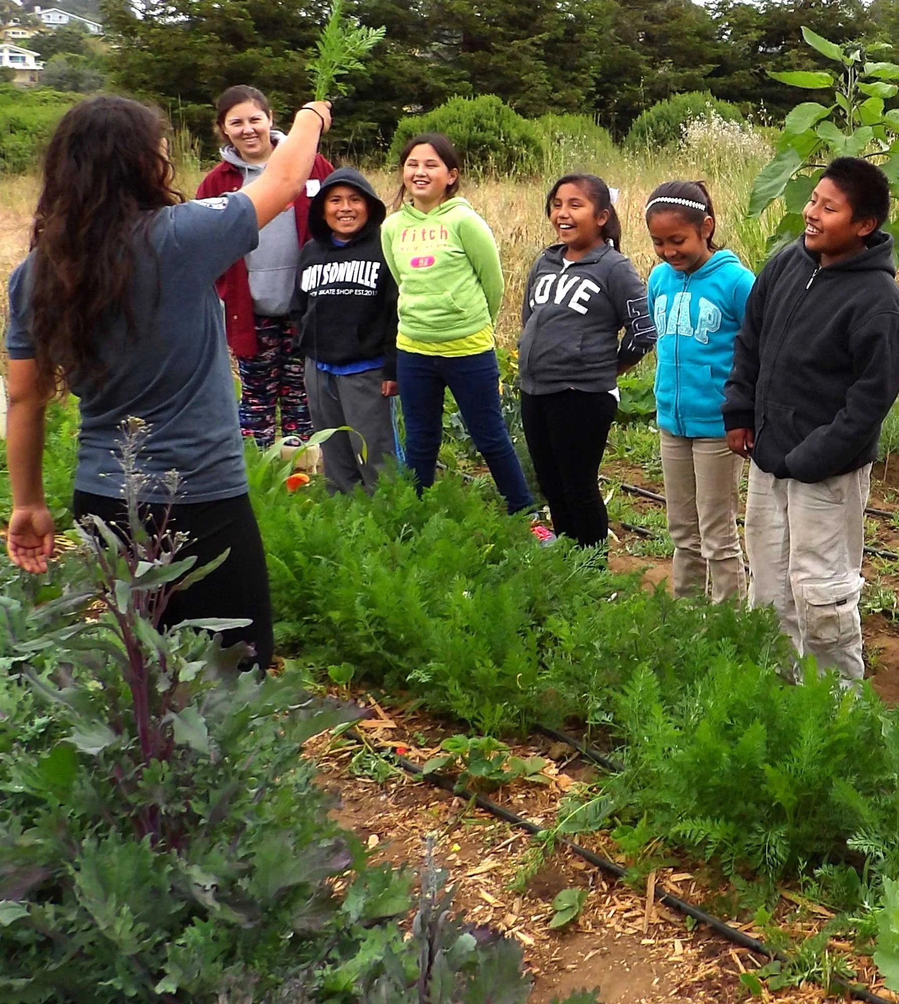 Educator Certification Program — Life Lab