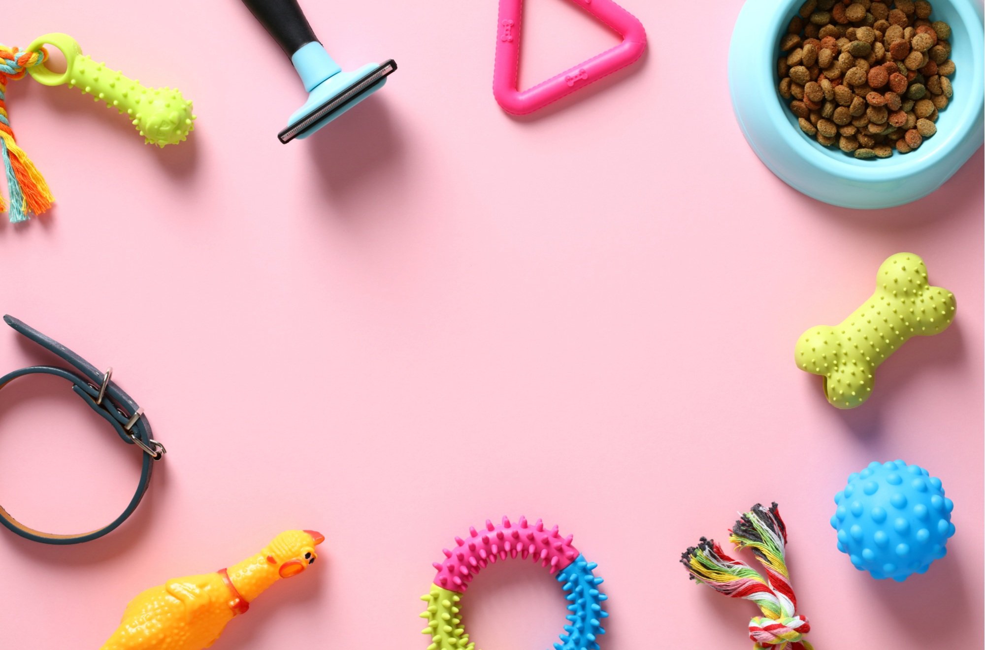 PoSITivity Dog Training | Colorado