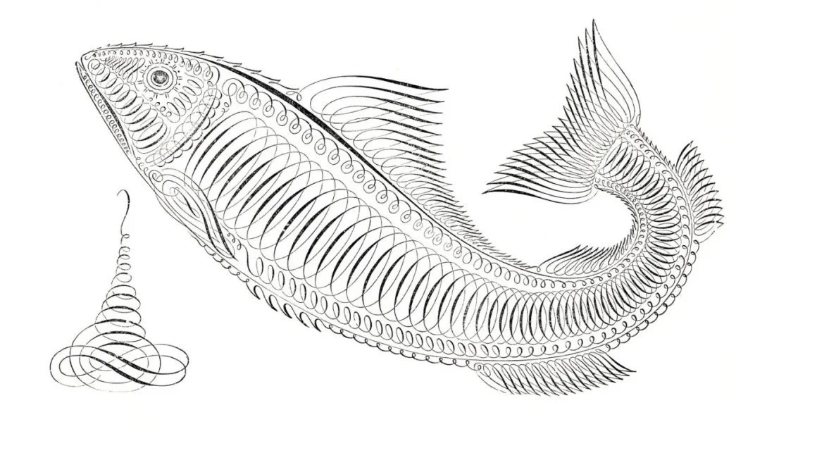 Two Poems by Ali Rashid Translated from Arabic — COLUMBIA JOURNAL