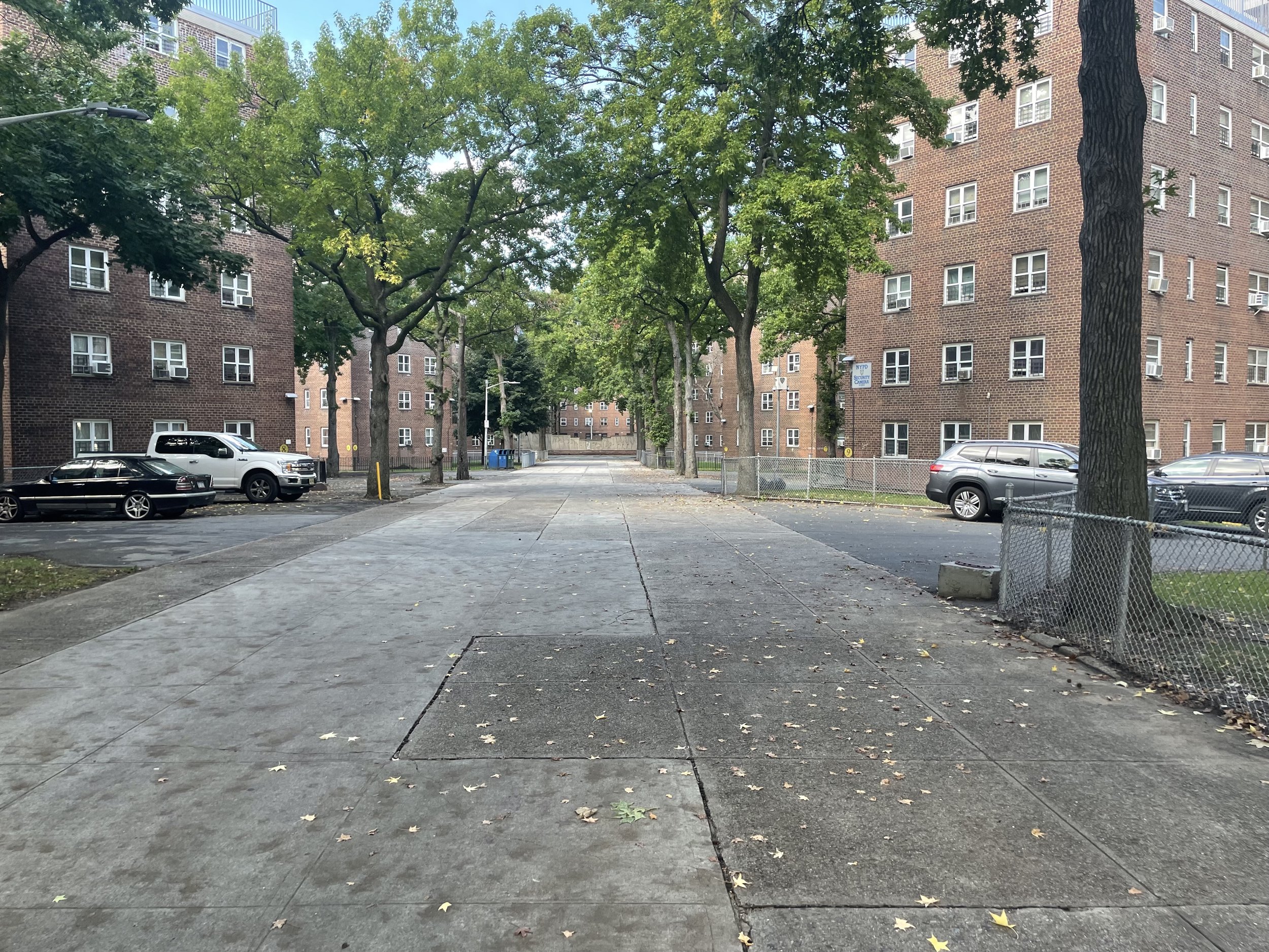 Exodus and Dance at NYCHA Kingsborough Houses — Public Housing ...