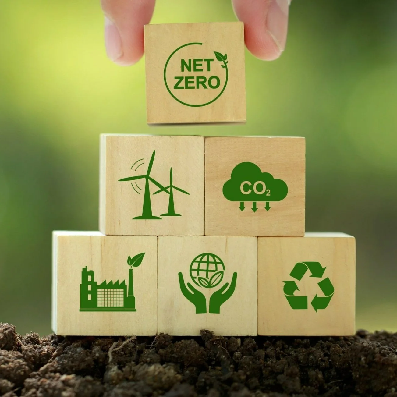 Sustainable Solutions Now