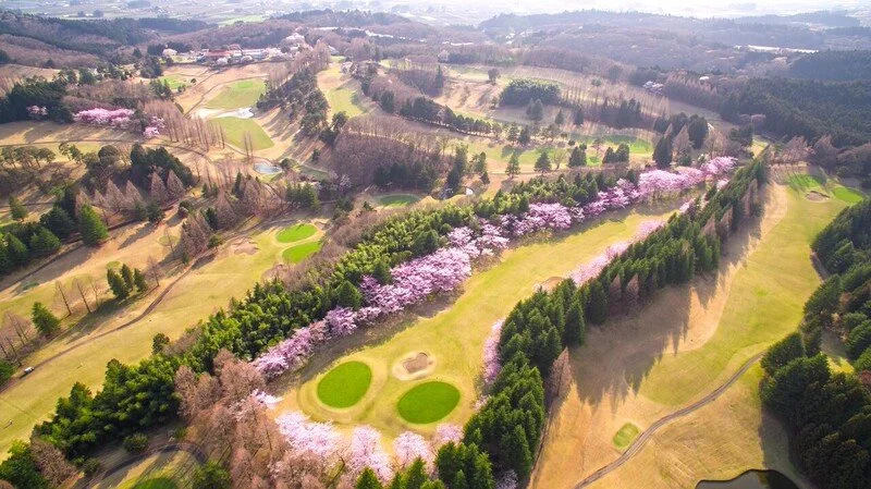 Your Guide to Japanese Golf Etiquette — Go Golfing Travel