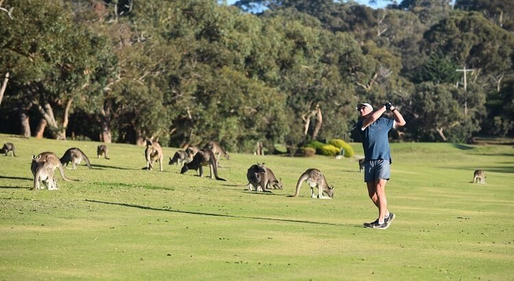 Golf Holidays to anywhere in the World — Go Golfing Travel