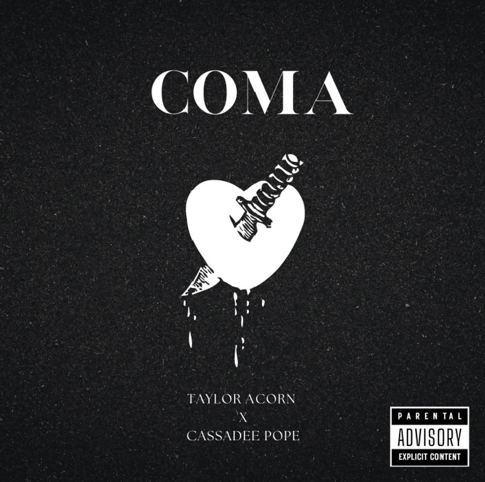 Cassadee Pope Album Cover