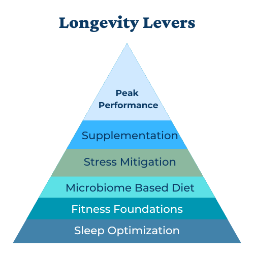 Longevity levers - A Framework For Living Better Longer — Josh Graner ...