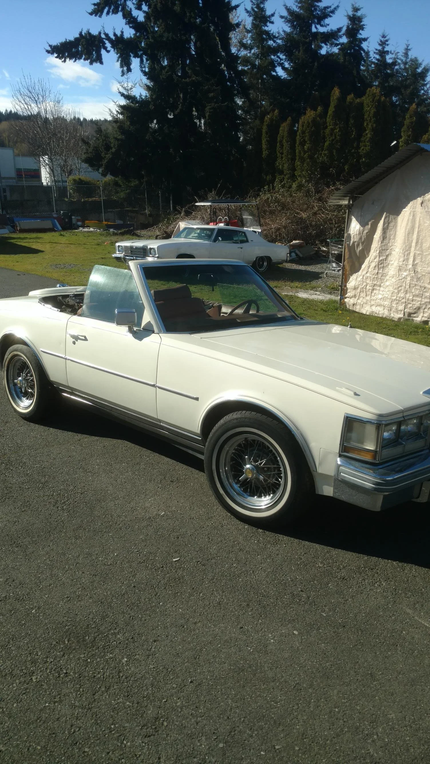 Lot #208 - 1978 Cadillac Milan — Lucky Collector Car Auctions