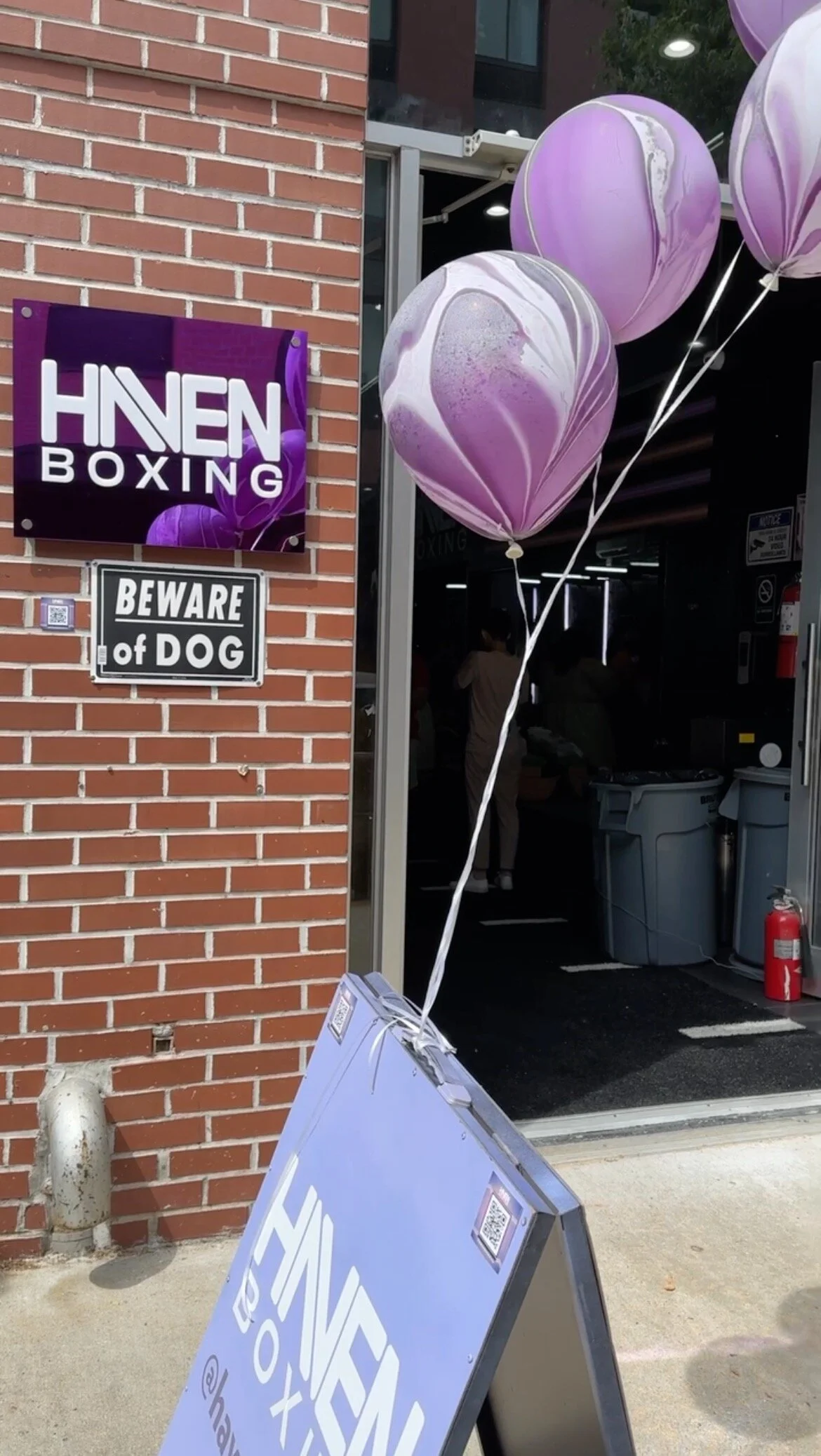 HAVEN Boxing