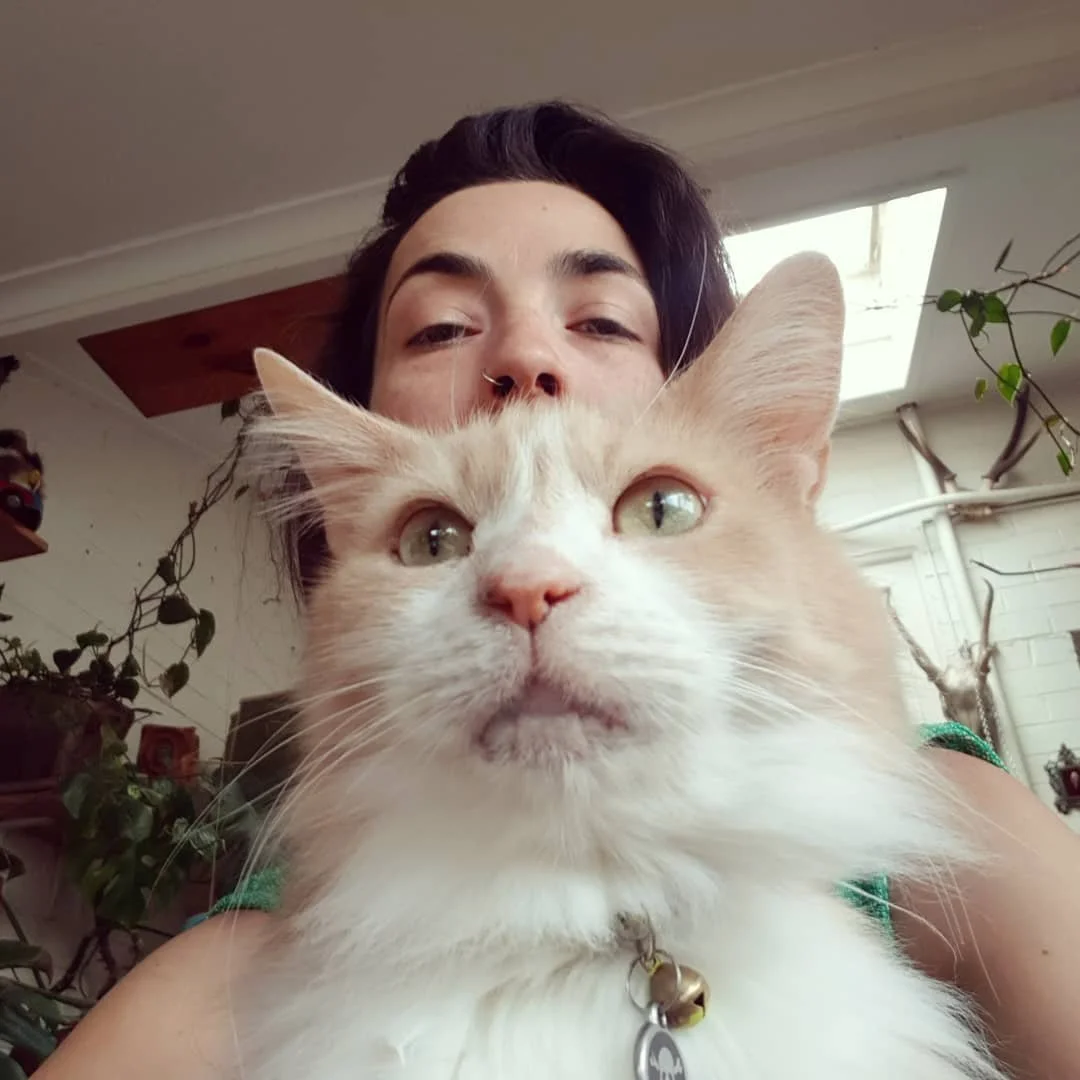 About — Meowhaus Cattery Brunswick | Cat Boarding