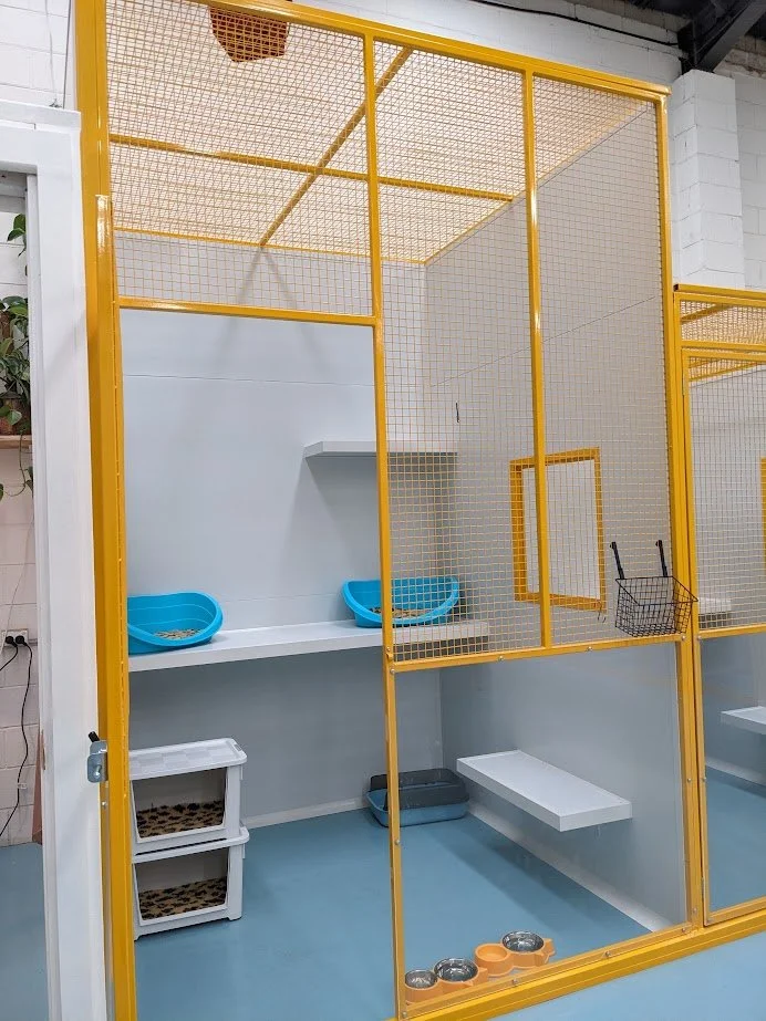 Meowhaus Cattery Melbourne