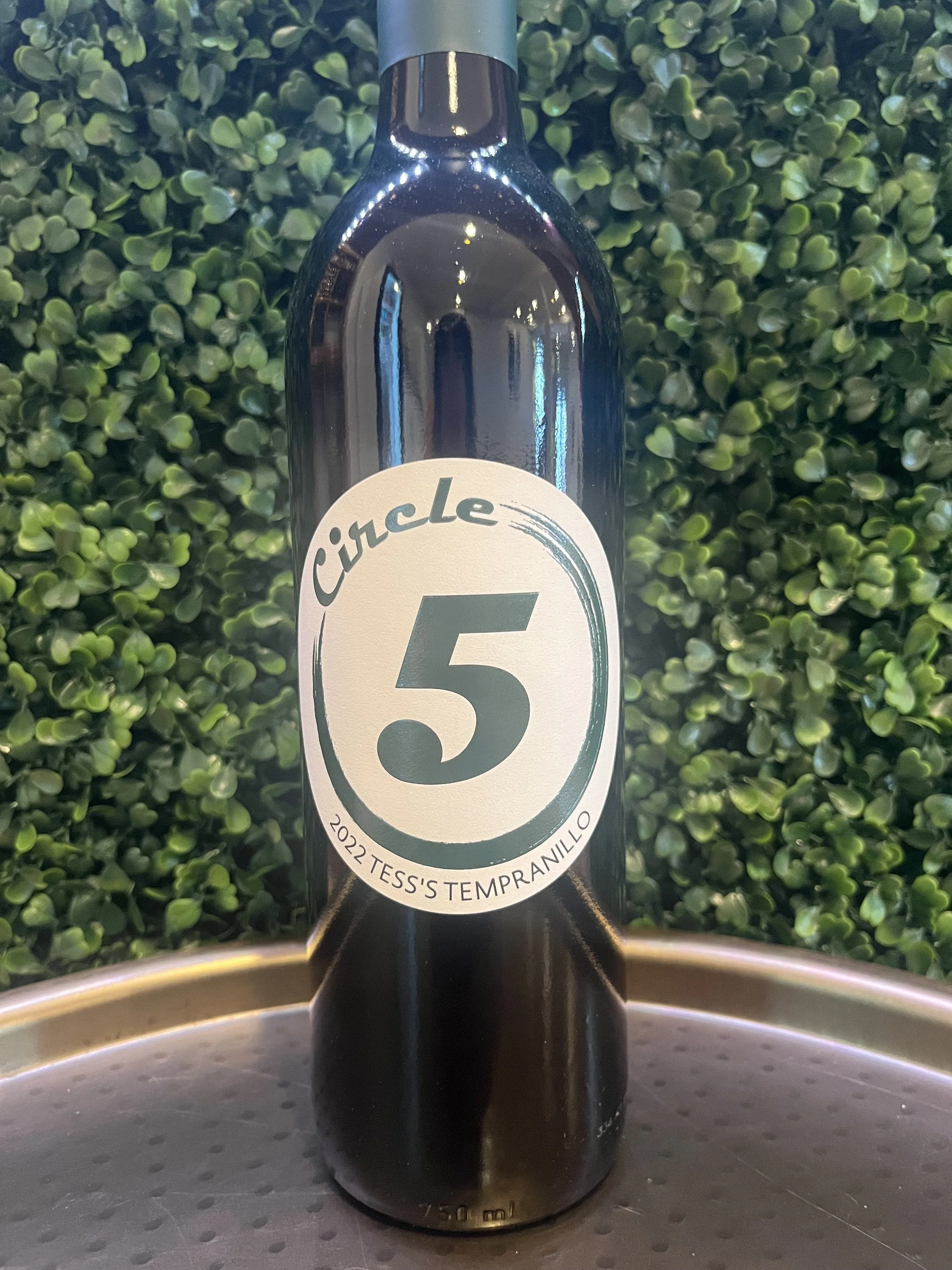 Menu & Wines — CIRCLE 5
